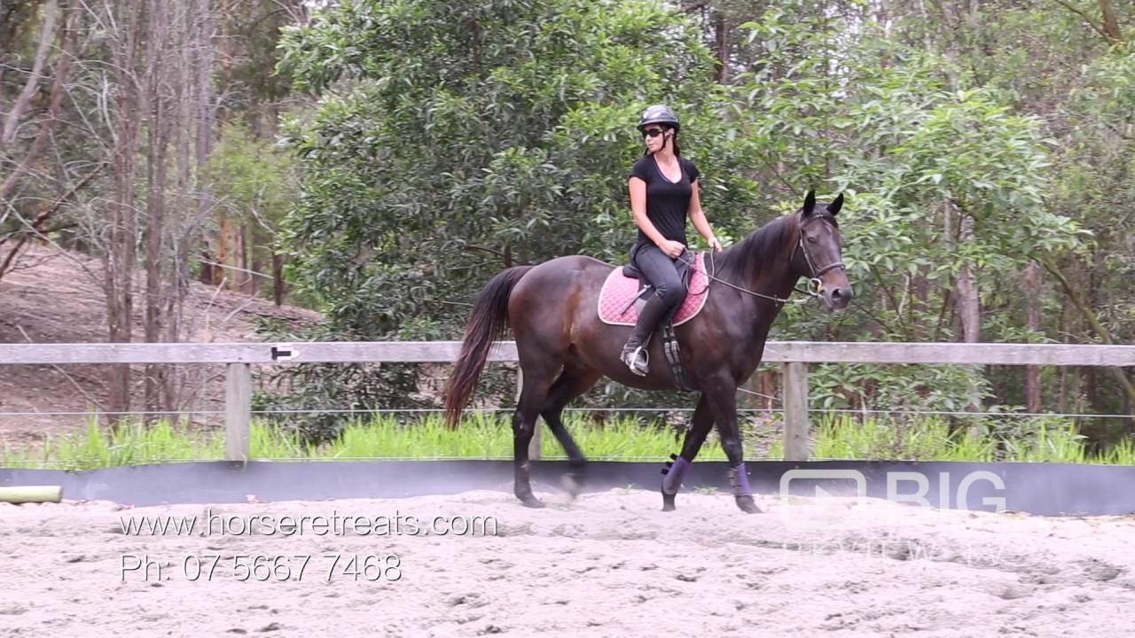 Education & Learning | Bonogin Valley Horse Retreat | Horse Riding ...