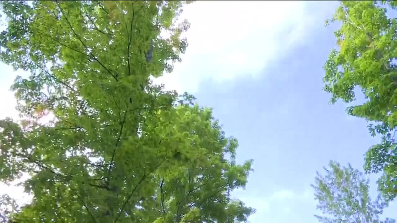 UMT Raging River Resort_Part 3 - YouTube