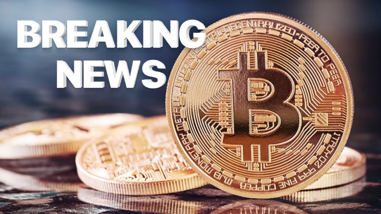 BREAKING NEWS!! LIVE FROM SARASOTA WITH BITCOIN BEN - YouTube