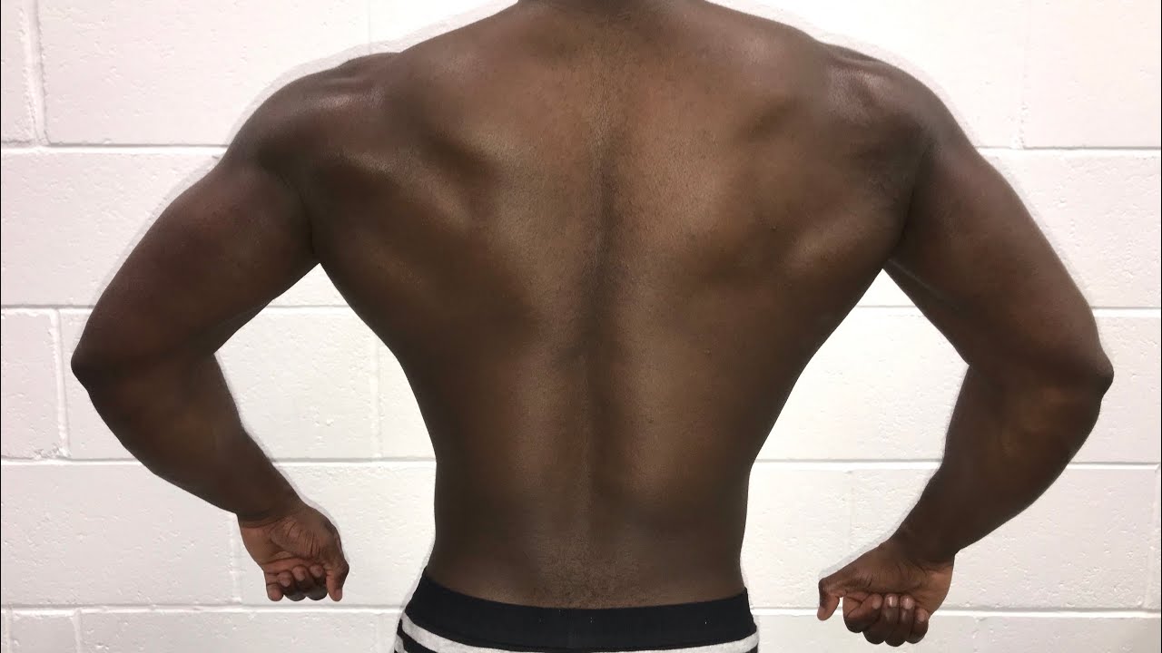 THE PERFECT BACK WORKOUT | Gyms Back Open - YouTube