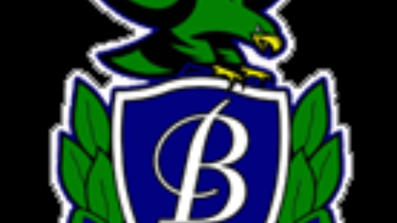 Bartlett High School Logo