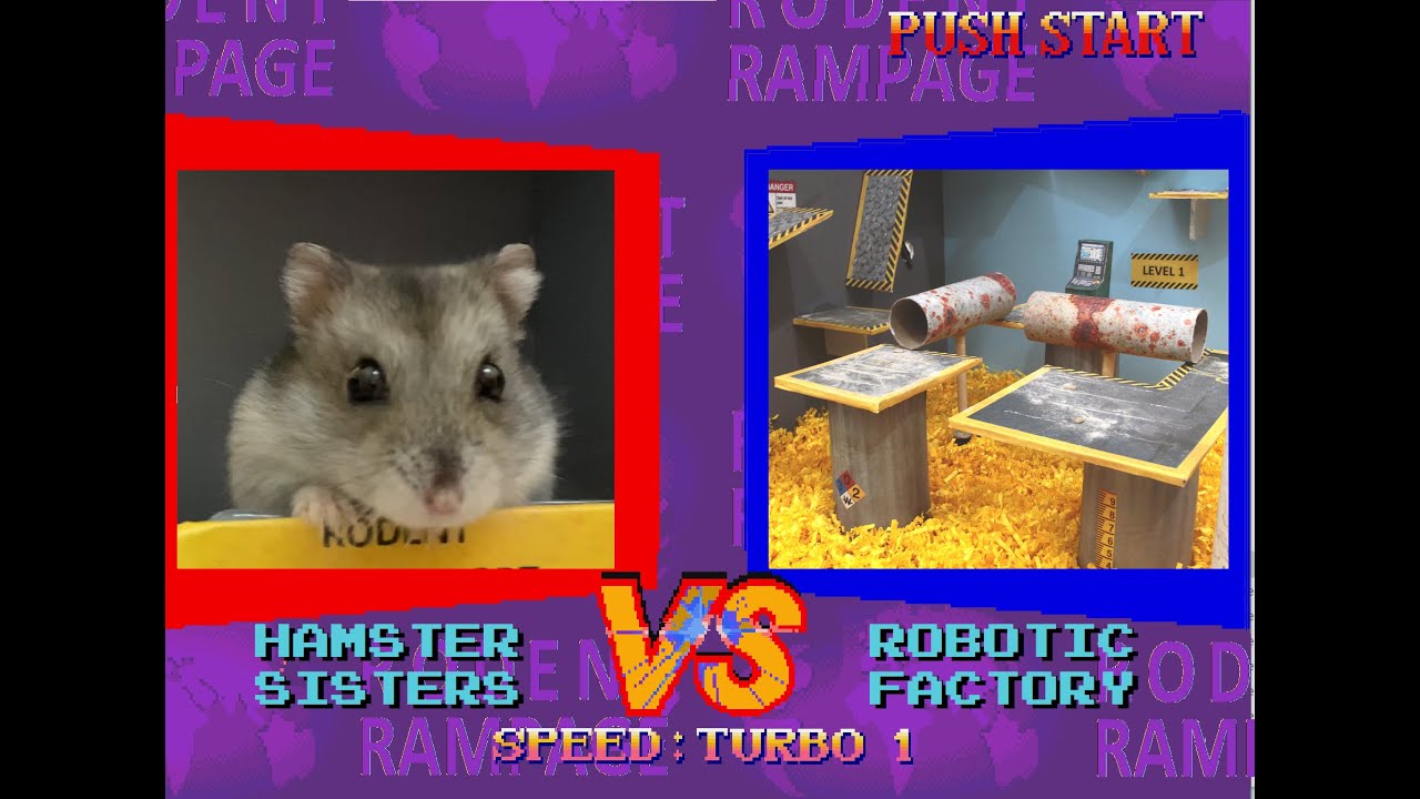TINY HAMSTER SISTERS vs 3D ROBOTIC FACTORY MAZE, Rodent Rampage Episode ...