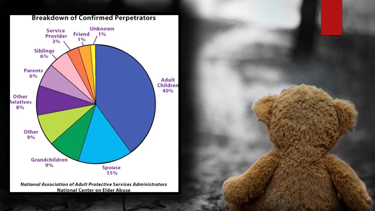 Effects of Domestic Violence on Family Dynamics powerpint final video ...
