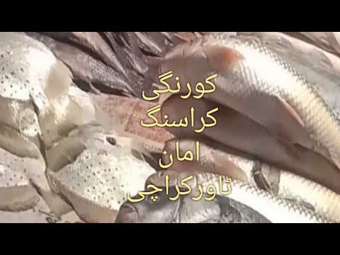 December 31, 2022 Karachi korangi crossing Aman Tower Karachi - YouTube