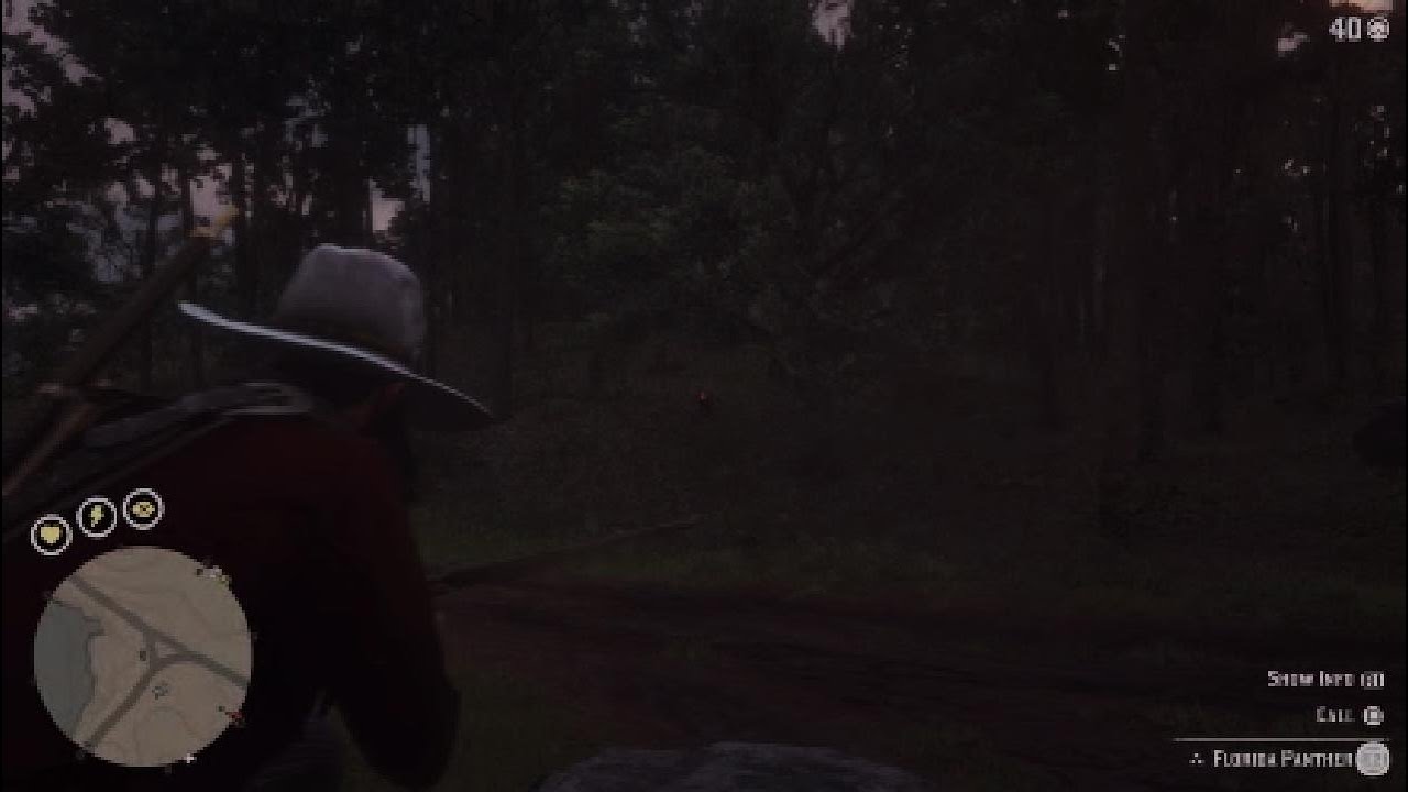 RDR2 Florida Panther-Why so Serious? - YouTube