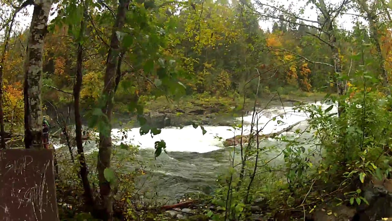 Stamp River Provincial Park, British Columbia - YouTube