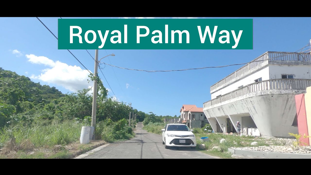 Royal Palm Way, Rio Nuevo, St Mary, Jamaica - YouTube