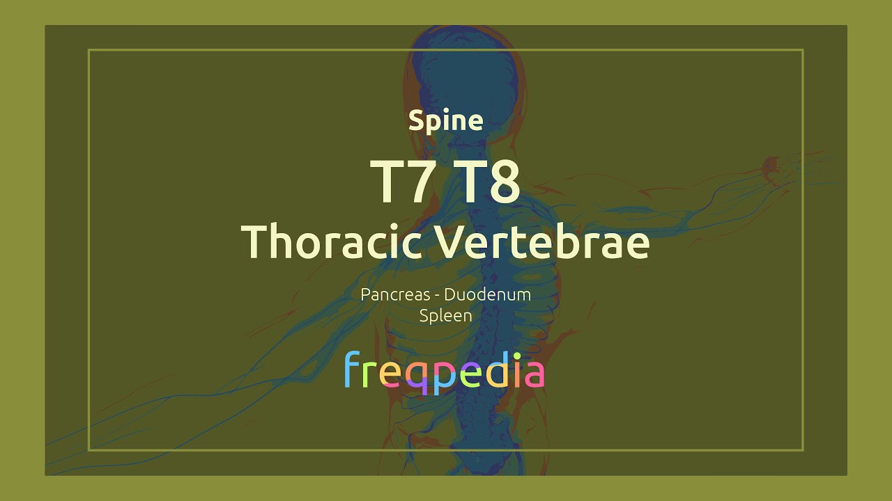 T7 & T8 Vertebrae Frequency - YouTube