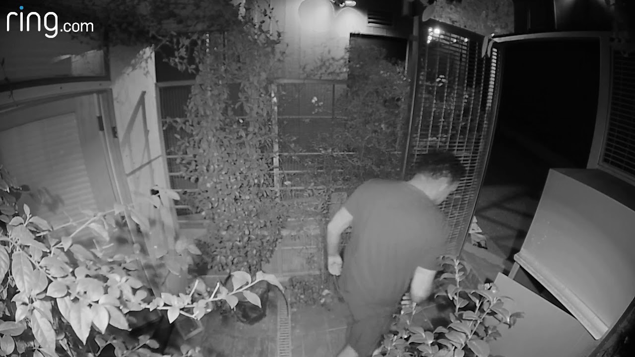 Caught on Ring Doorbell - Girls Breaking Gate And Into Mailbox - YouTube
