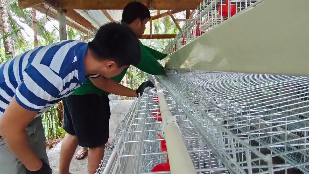 RTL Cage Installation - YouTube