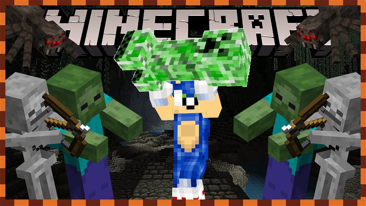 Sonic Speed SMP | Blocks & Mobs | Minecraft SMP [LIVE] - YouTube