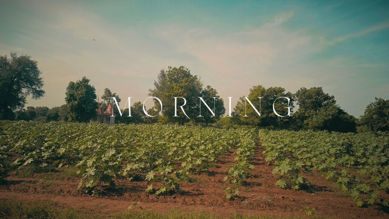Morning view #morning - YouTube