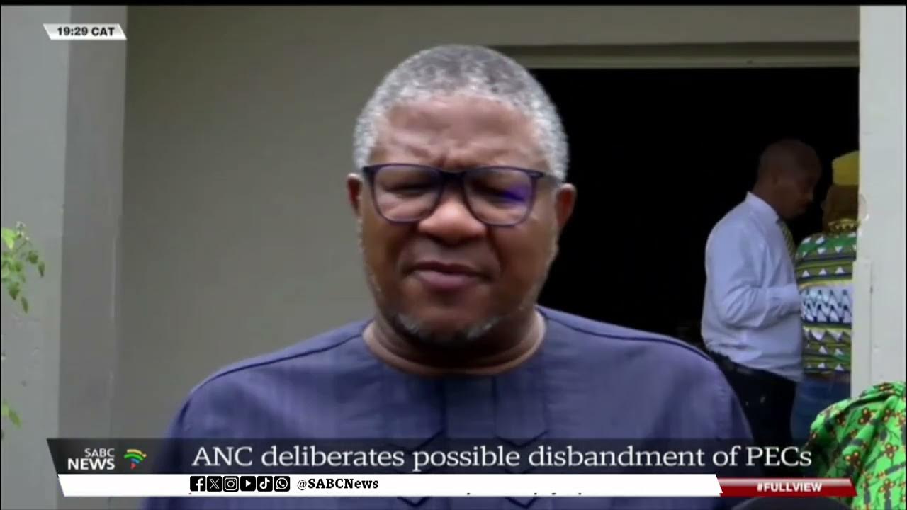 ANC considers possible dissolution of KwaZulu-Natal and Gauteng PECs - YouTube