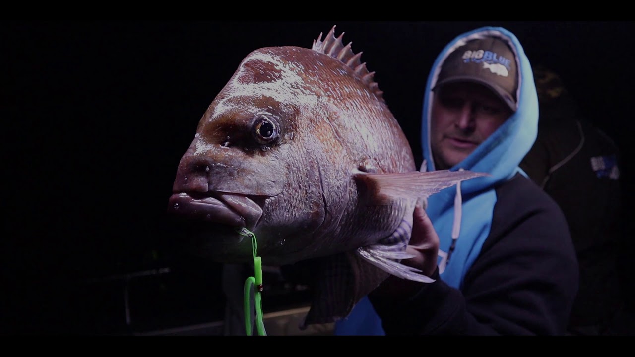 UV Torch charges up Snapper Snacks and Snatcher rigs = fish on - YouTube