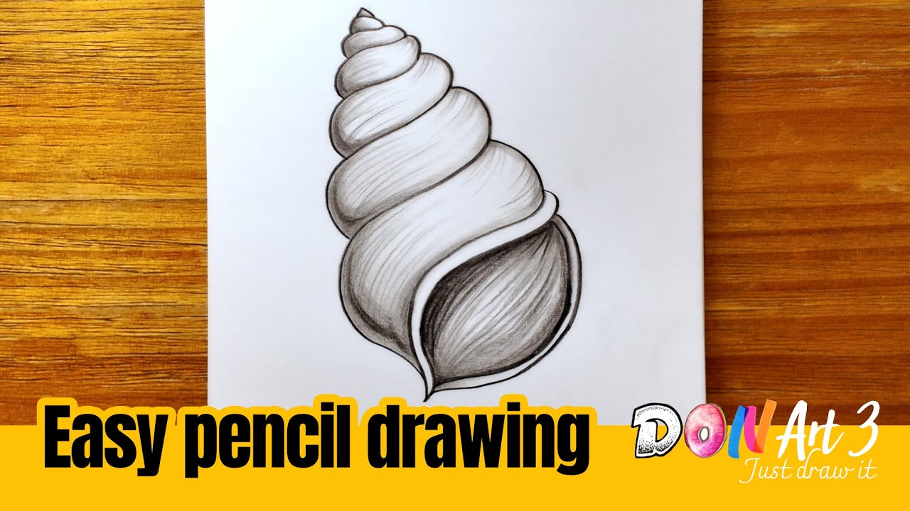 [Let's draw conch step by step] [Easy drawing for beginner] [The Art of ...