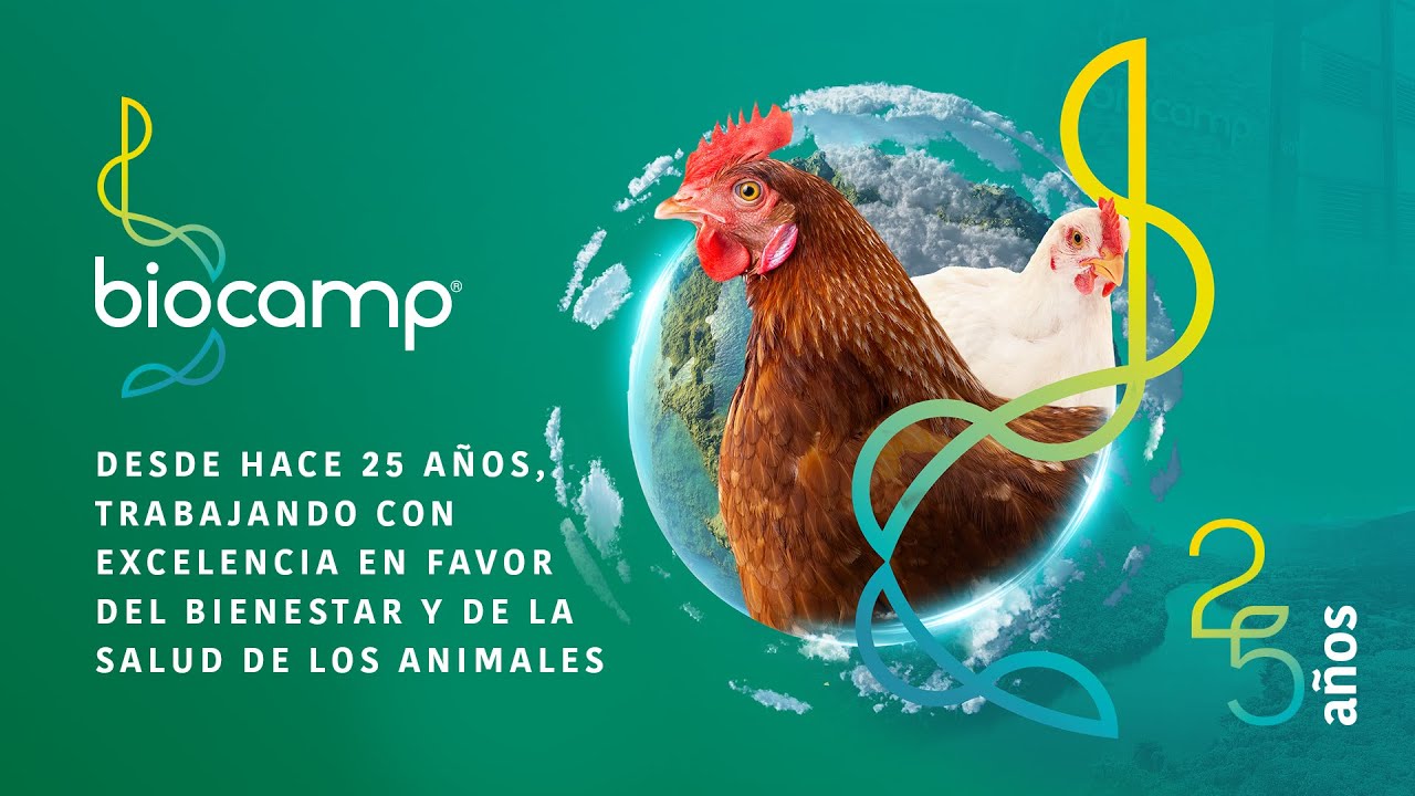Biocamp, desde hace 25 años creciendo, naturalmente - YouTube