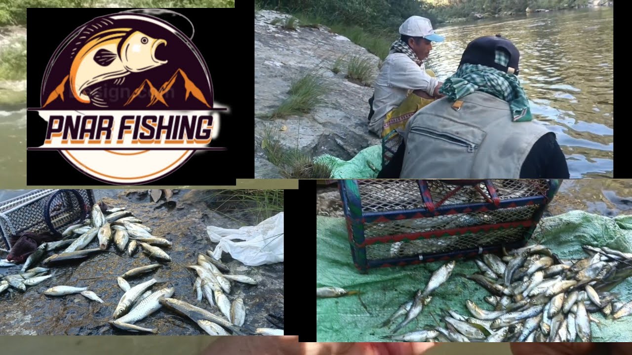 Sngew hun khwai jingbam jyrngam wah kupli ! ,😊🎣🐟🐬 - YouTube