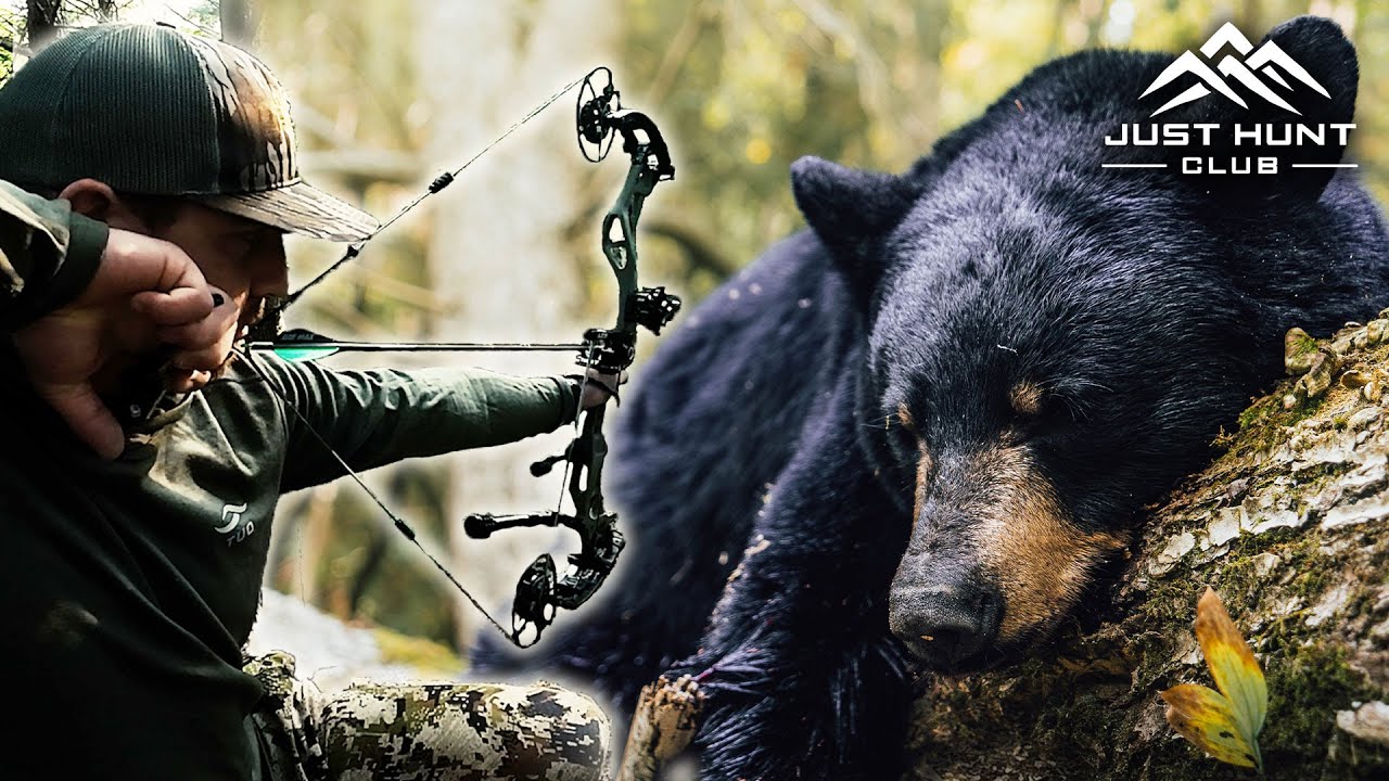 Bear Hunting in New Hampshire :Self Filmed Bear Kill in SLO MOTION ...