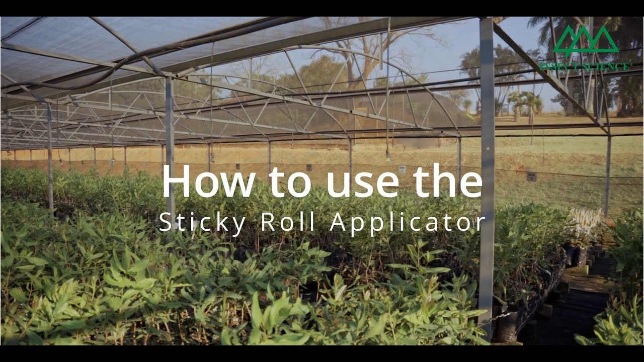 How to use the Sticky Roll Applicator | Insect Science - YouTube