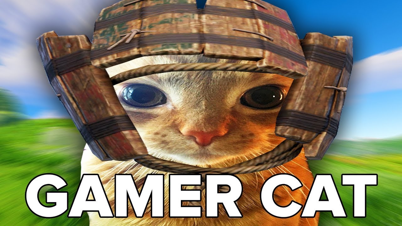 Rust India [ Live ]┊Like Share N Subscribe | Lets make cheena wall ...