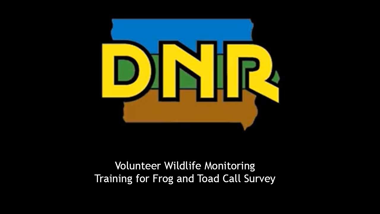 Training for Frog and Toad Call Survey on Zoom, Iowa DNR - YouTube
