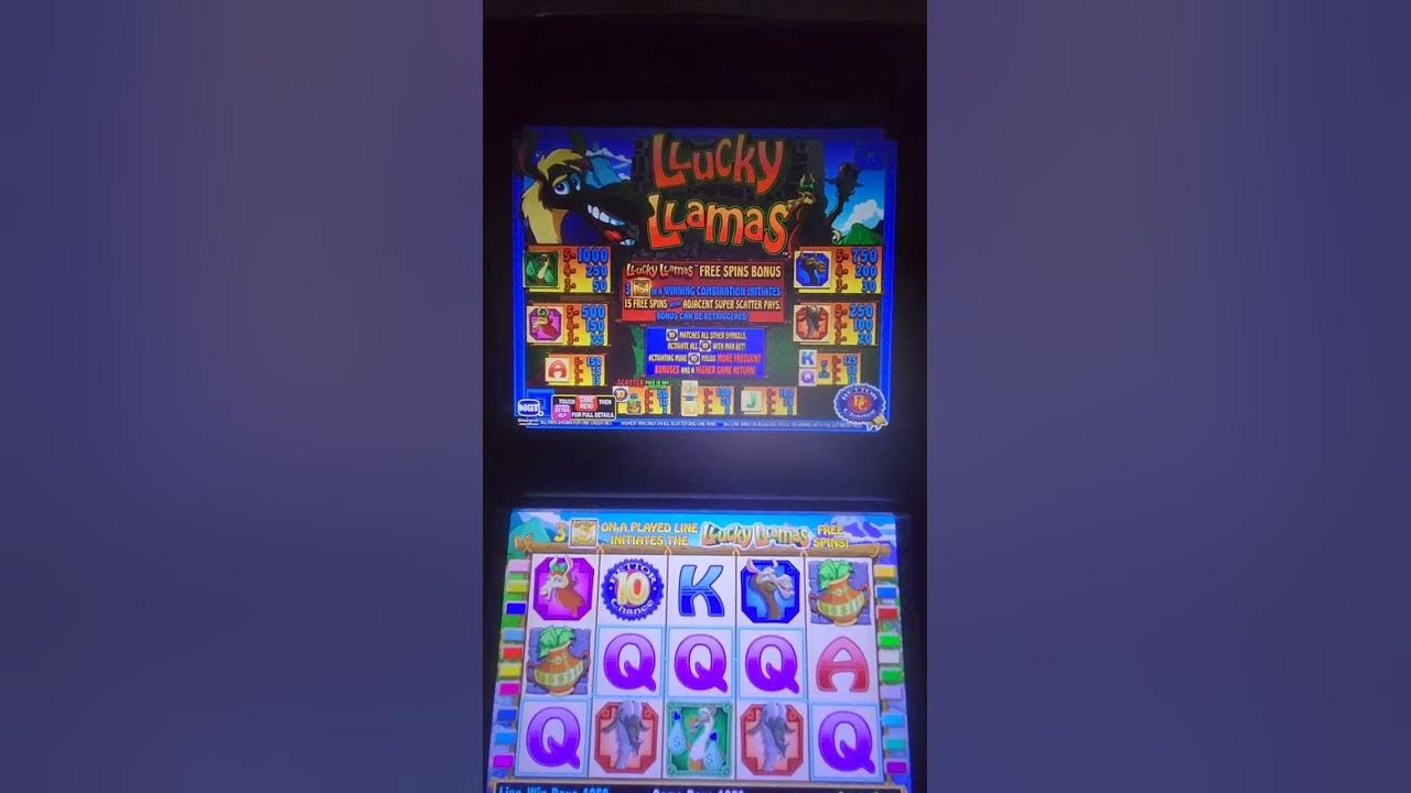 IGT Lucky Llamas Slot Machine Game Play. Web Site: https://toplineslotmachines.com - YouTube