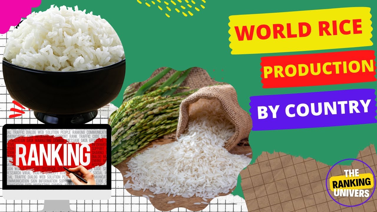 World Rice Production By Country - YouTube
