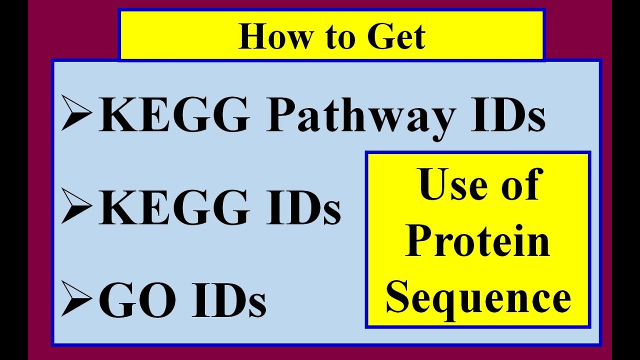 How to get GO, KEGG, KEGG pathway IDs - YouTube