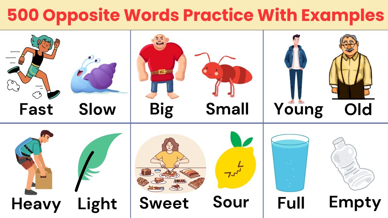 Antonyms in English | Opposite Words in English | Common opposites ...