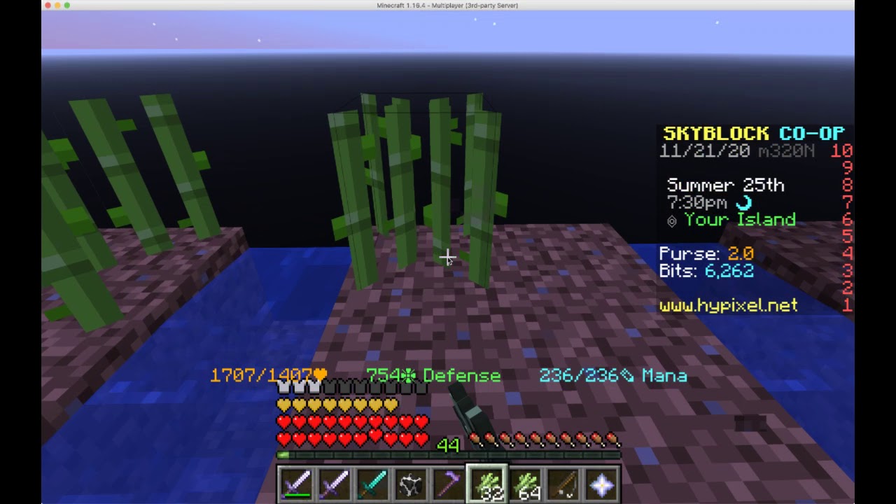 Hypixel Skyblock Coop - Day 30 Part 2 - YouTube