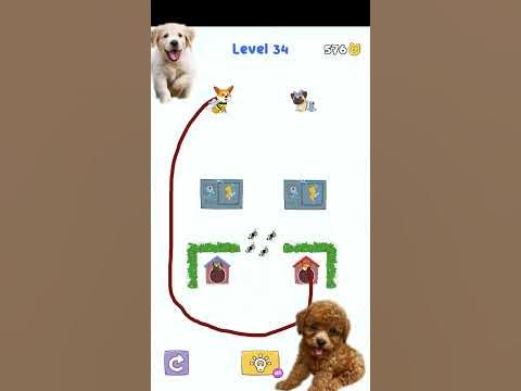 Dog Rush 🐕 game android ios draw line#rush#trending#shortsvideo#shortsviral#shorts - YouTube