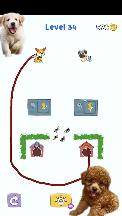 Dog Rush 🐕 game android ios draw line#rush#trending#shortsvideo#shortsviral#shorts - YouTube