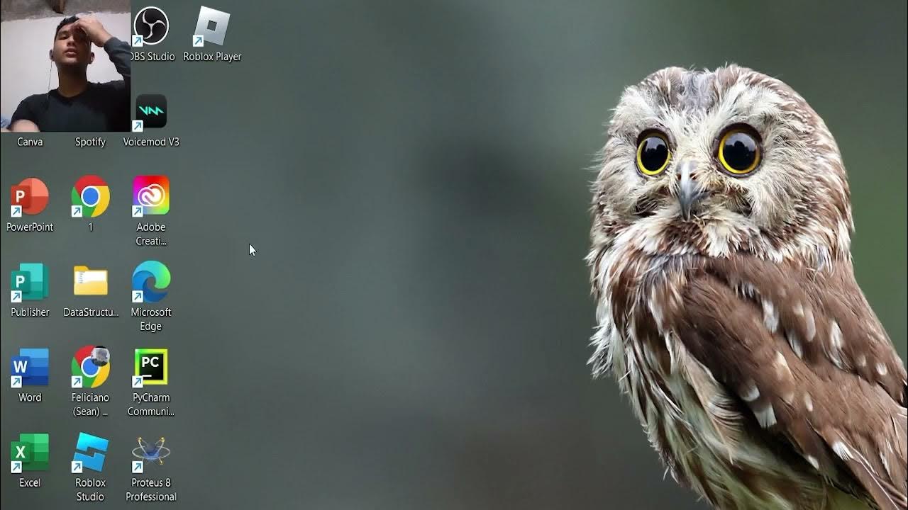 Arduino Mega 2560 Blinking LED Tutorial in Proteus - YouTube