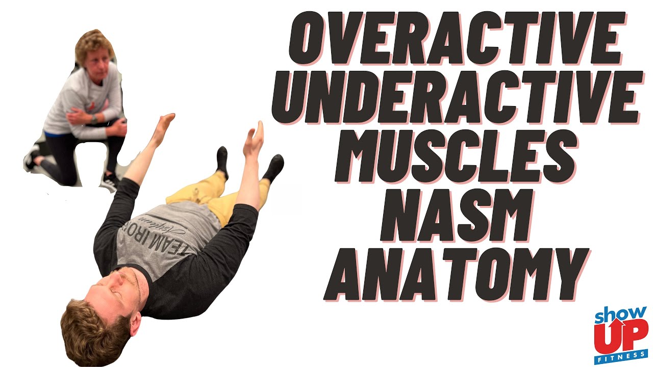 NASM overactive underactive muscles ANATOMY | Become a NASM CPT w/in 30 ...