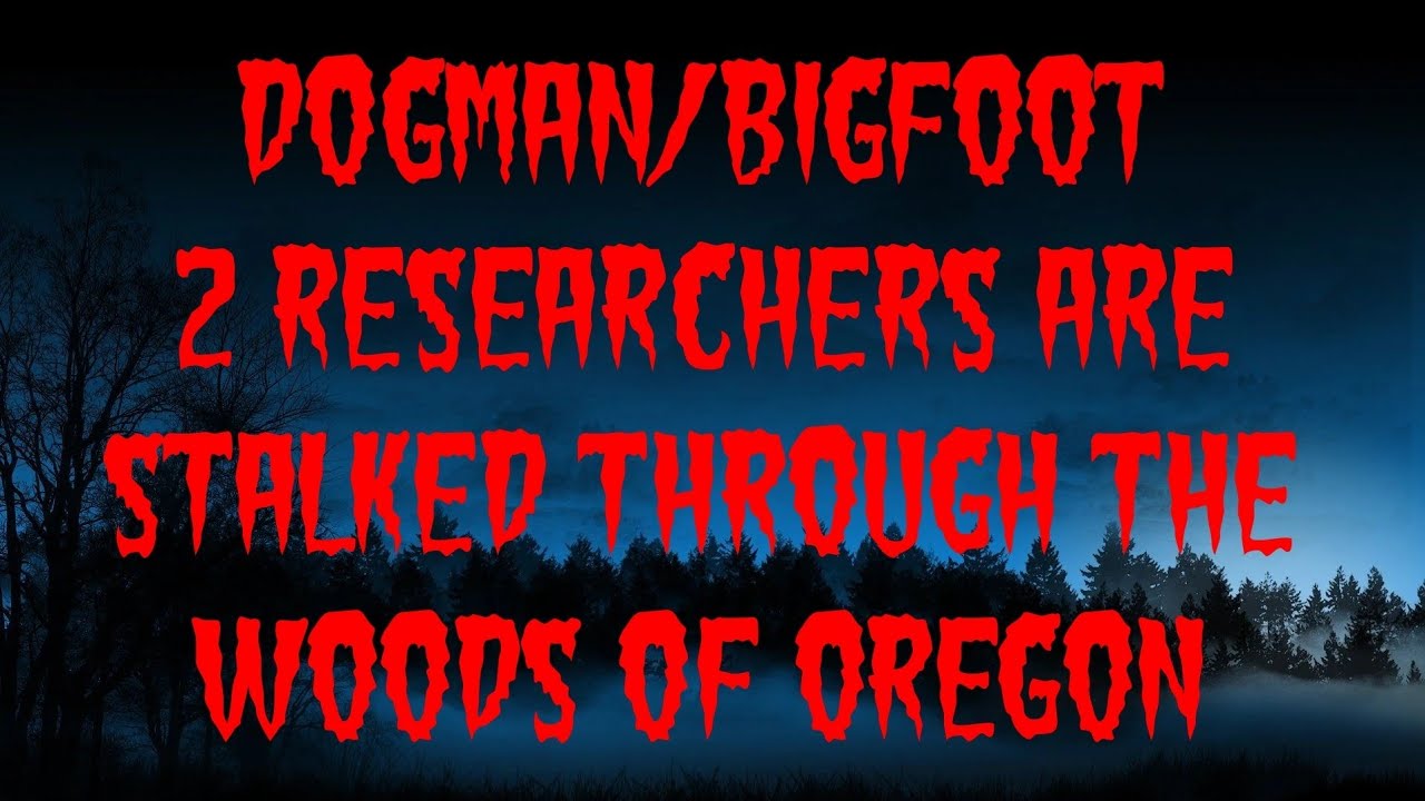 DOGMAN/BIGFOOT 2 RESEARCHERS ARE STALKED THROUGH THE WOODS OF OREGON ...