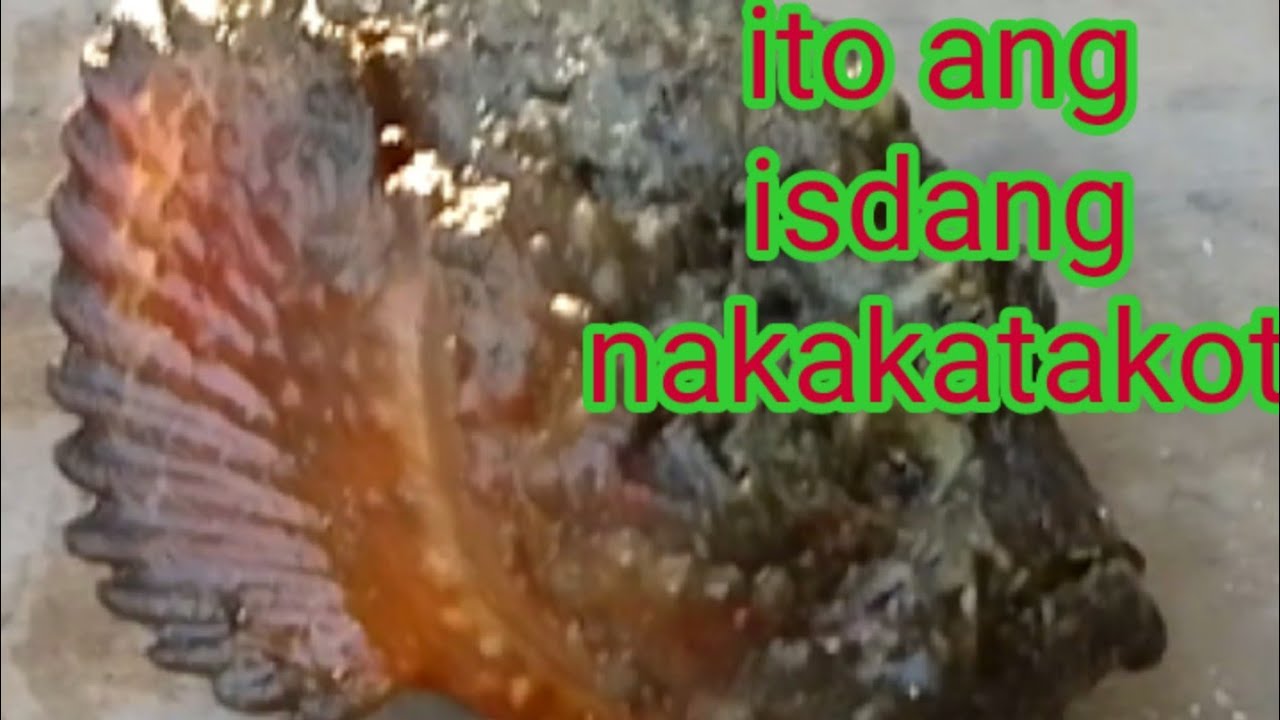 ibang klasing isda ito - YouTube