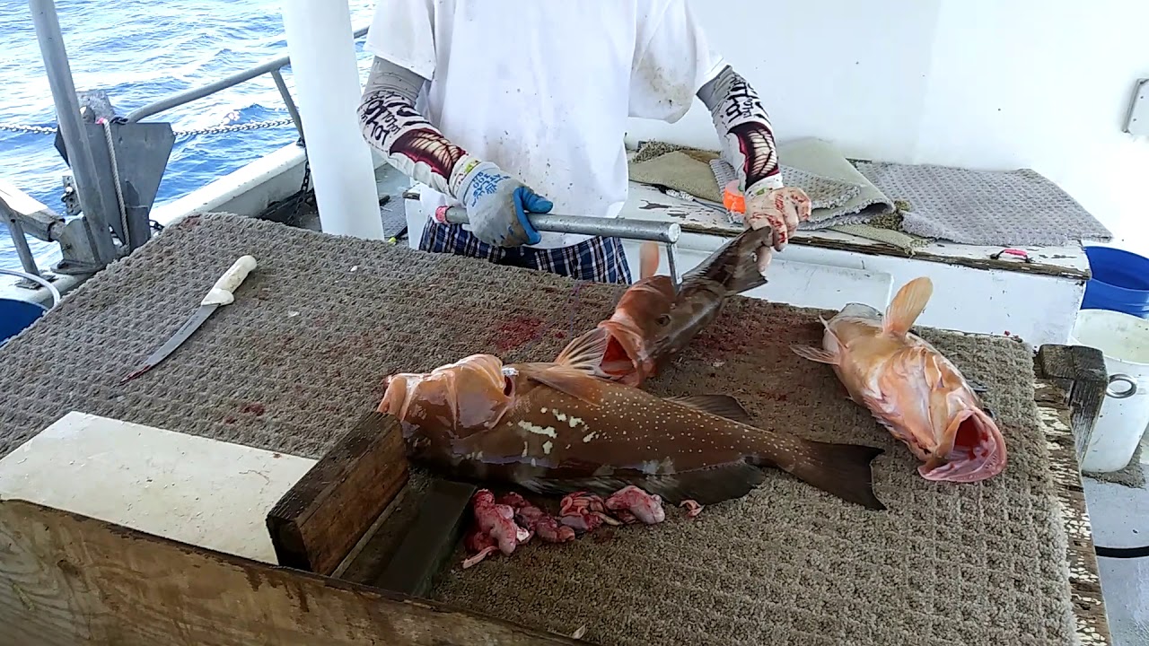 Commercial longline fishing boat - YouTube