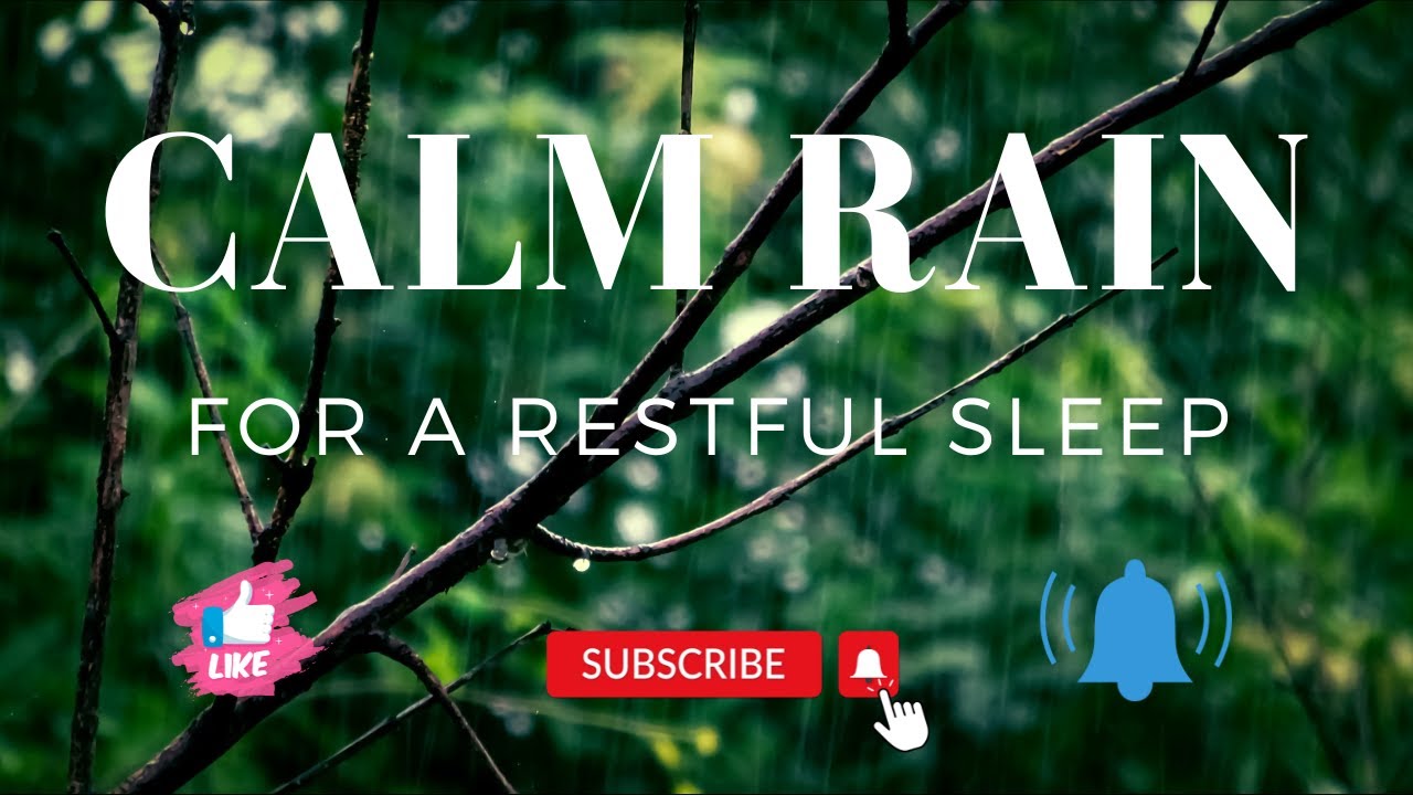 Fall asleep to the sound of soft rain with the pleasant sounds of ...