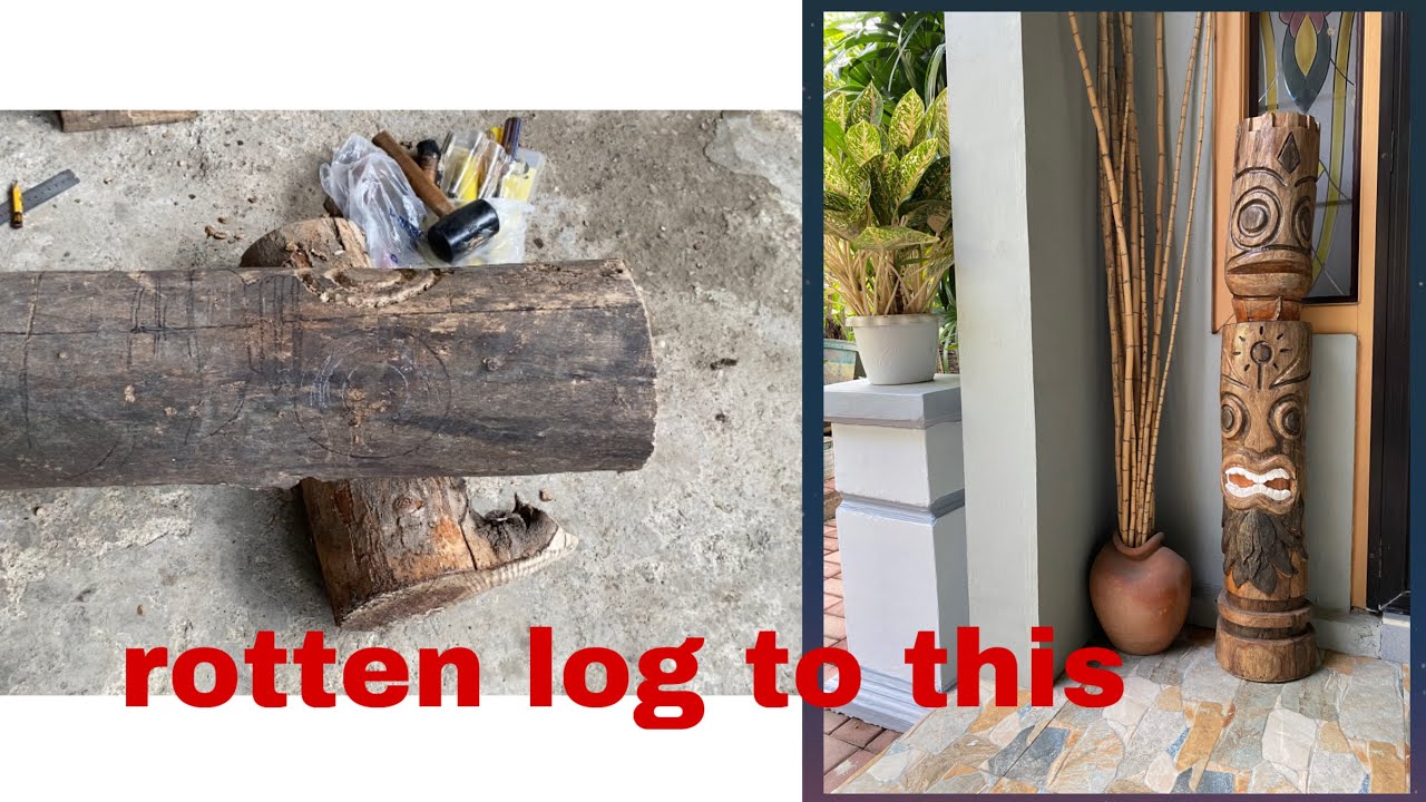 rotten log transform into a figure - YouTube