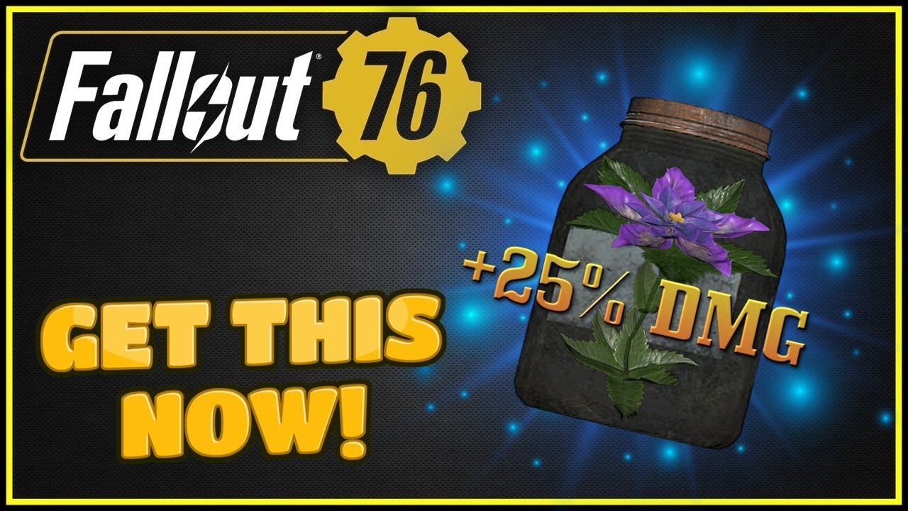 Don't Miss This Limited Time Recipe! (+25% Damage) - Fallout 76 - YouTube
