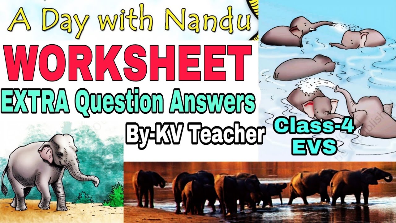 WORKSHEET A Day With Nandu NCERT Chapter 3 Class 4 EVS Extra Question Answers By KV Teacher worksheet-a-day-with-nandu-ncert-chapter-3-class-4-evs-extra-question-answers-by-kv-teacher