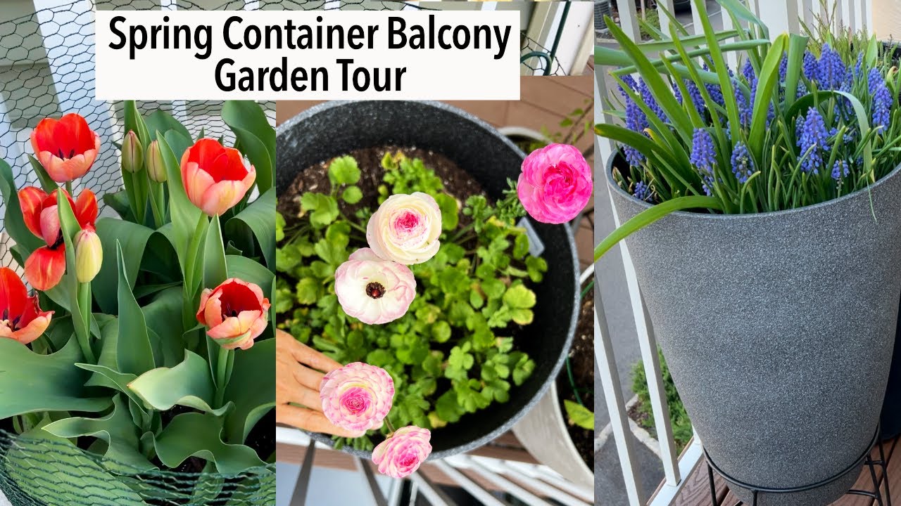 Spring Container Garden Evolution Tour | Spring Balcony Tour | Unique ...