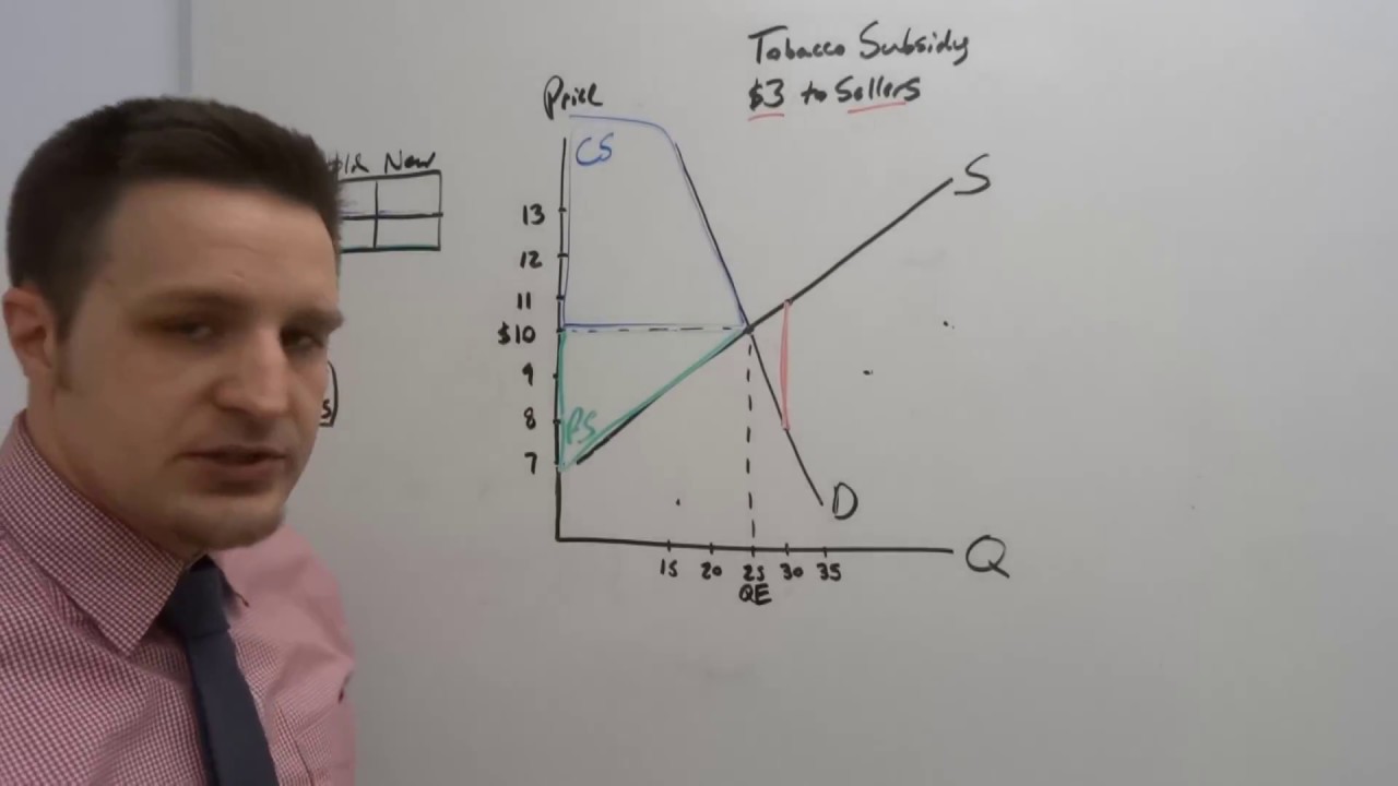 Graphing Subsidies - YouTube