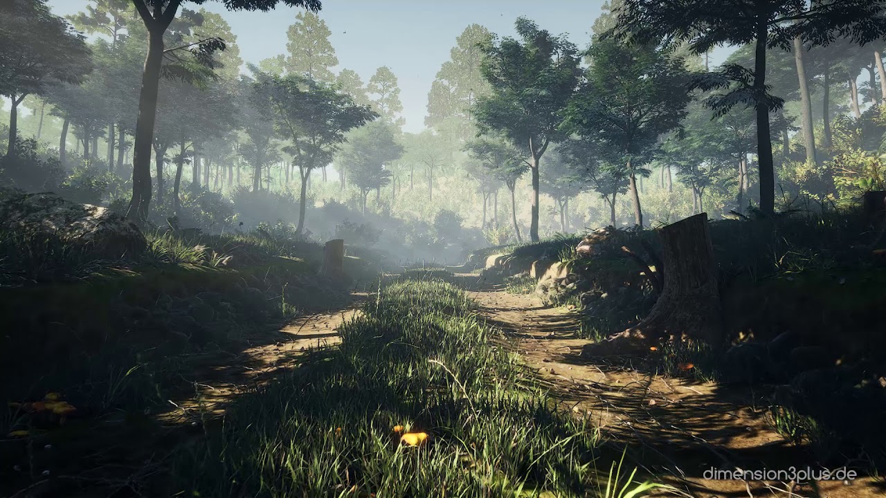 3D Animation Forest Scene - YouTube