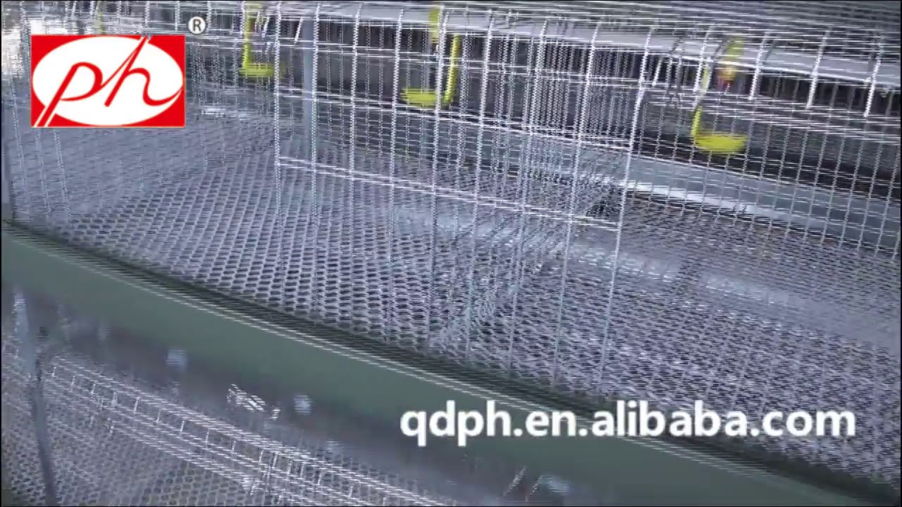 duck cage - YouTube