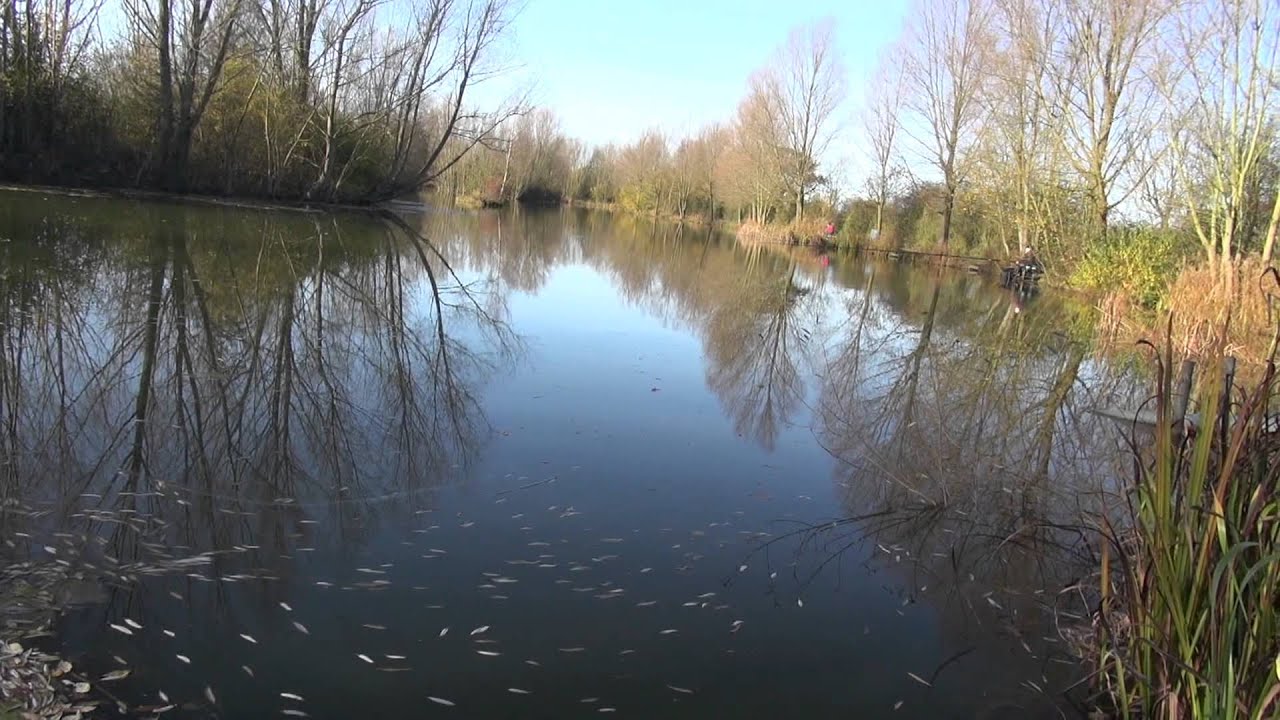 FENNES FISHERIES, FENNES ROAD, BOCKING, BRAINTREE, ESSEX - YouTube