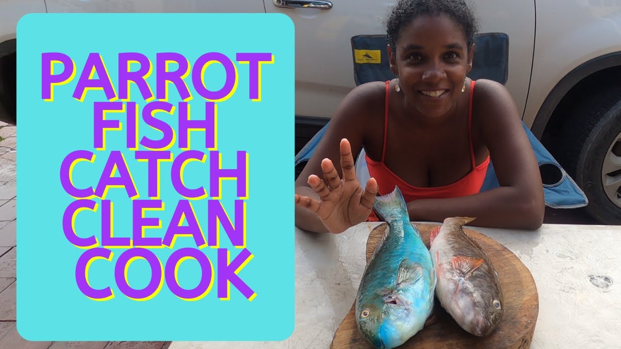 Parrot Fish Catch Clean Cook - YouTube