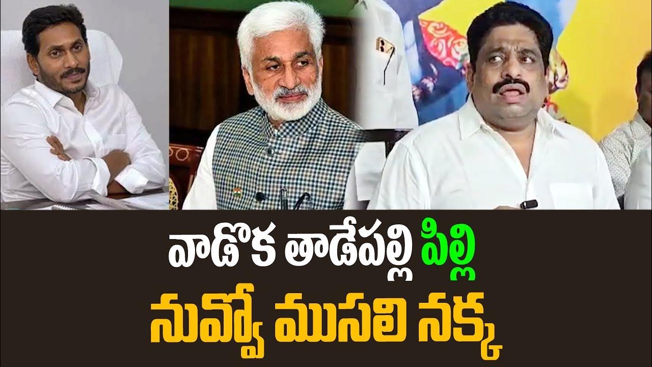 వాడొక తాడేపల్లి పిల్లి నువ్వో ముసలినక్క | TDP Buddha Venkanna Strong Counter To Vijay Sai Reddy ...