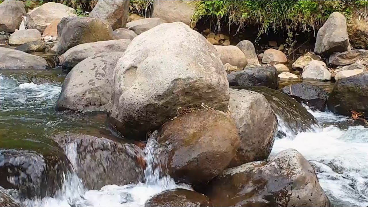 All-Day River Flow | Gentle Water for Total Calm - YouTube