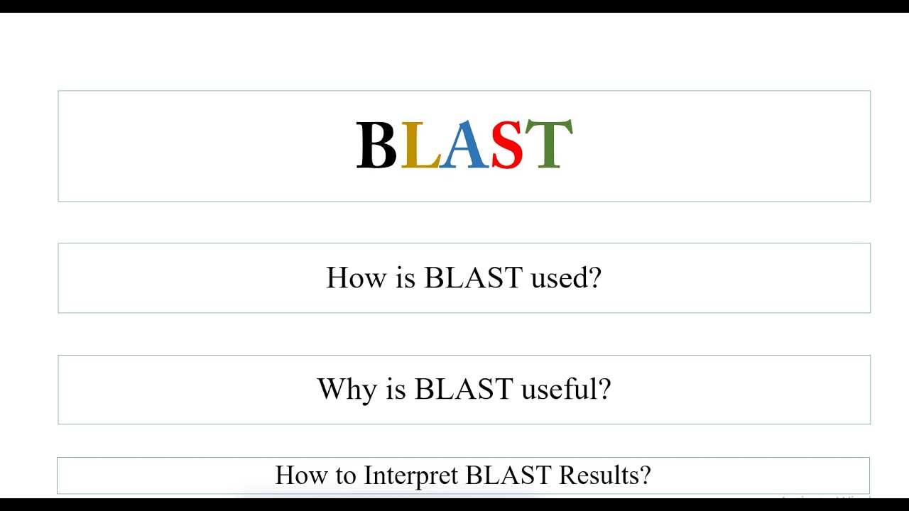 How is BLAST used and interpreted - YouTube